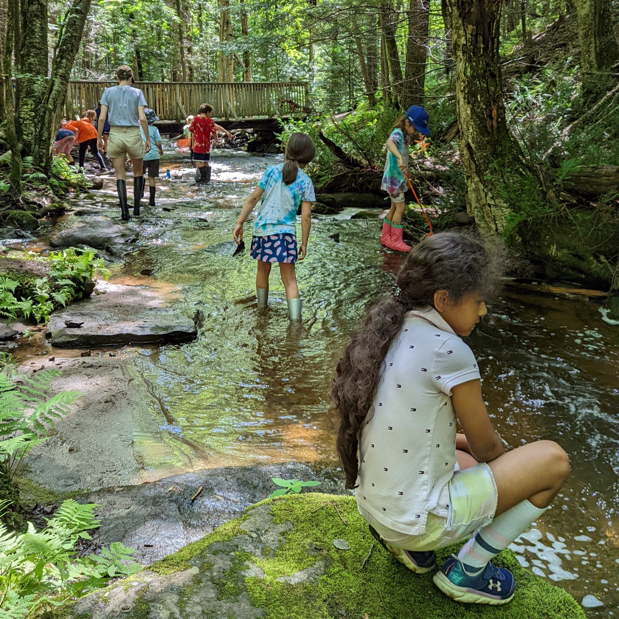 The Canadian Ecology Centre | A natural choice for experiential ...
